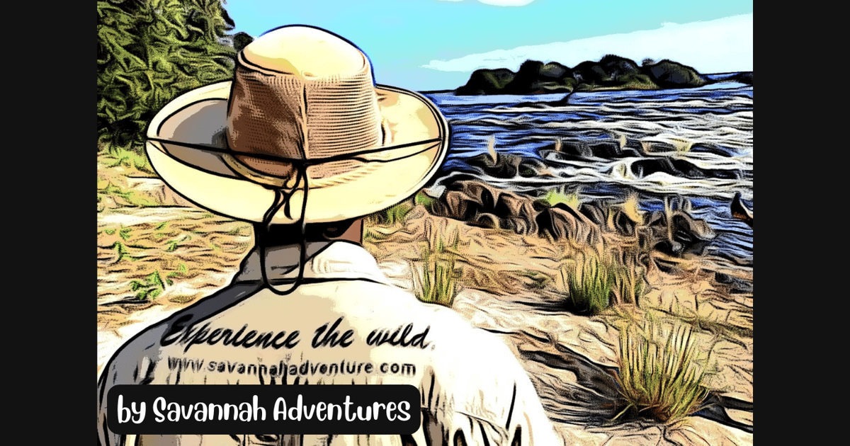 Victoria Falls: Zambezi National Park Game Drive w/ Transfer | GetYourGuide