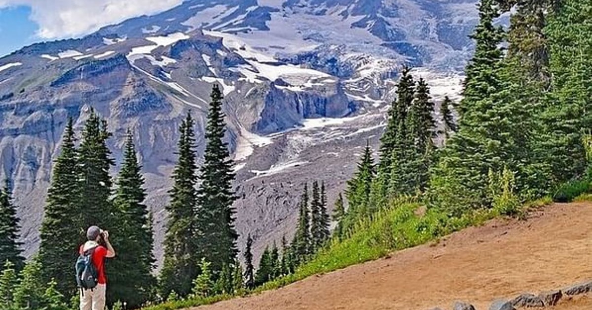 From Seattle: Full-Day Mt Rainier National Park Tour | GetYourGuide