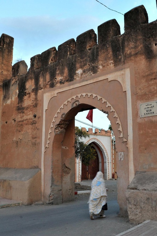 Excursion dans les oasis de Taroudant et Tiout avec déjeuner | GetYourGuide