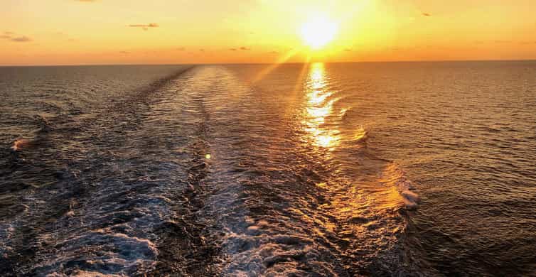 Florida: Emerald Coast Sunset & Dolphin Cruise with Guide | GetYourGuide