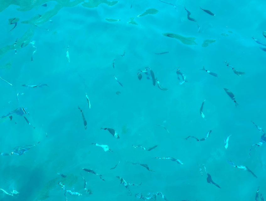 From Positano: Half-Day Amalfi Coast Boat Tour & Snorkeling | GetYourGuide