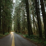 From Seattle: Twilight Forks Washington Tour | GetYourGuide