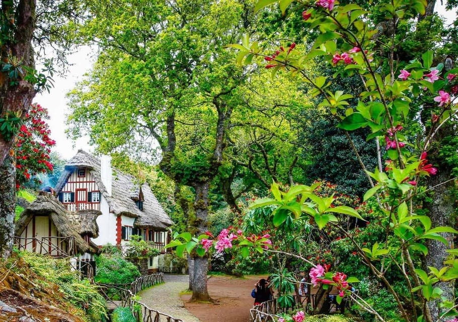 Madeira: wandeltocht - Queimadas / Caldeirão Verde | GetYourGuide