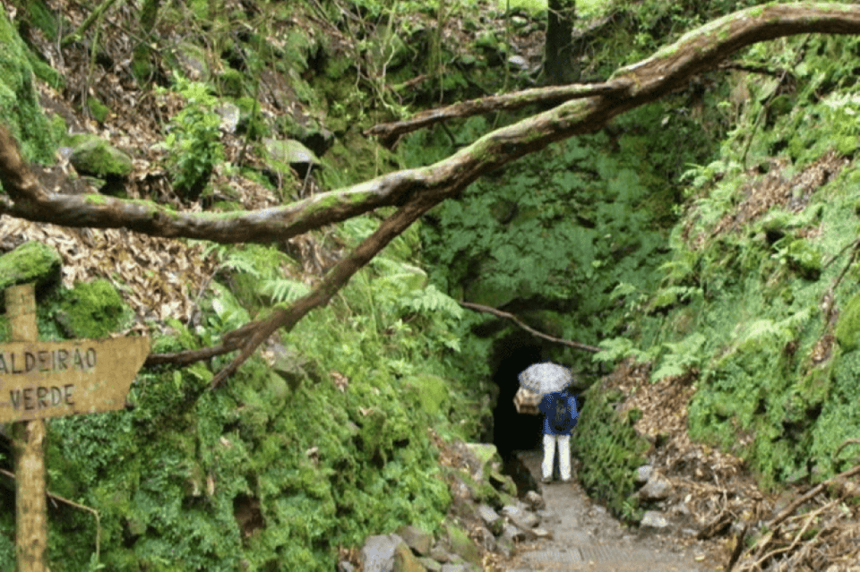 Madeira: wandeltocht - Queimadas / Caldeirão Verde | GetYourGuide