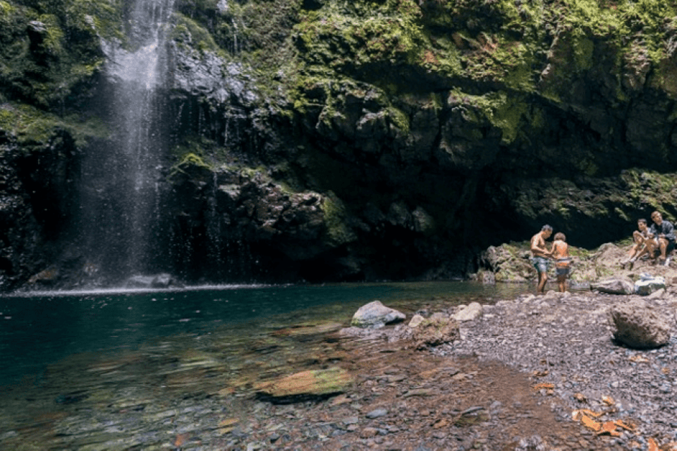 Madeira: wandeltocht - Queimadas / Caldeirão Verde | GetYourGuide
