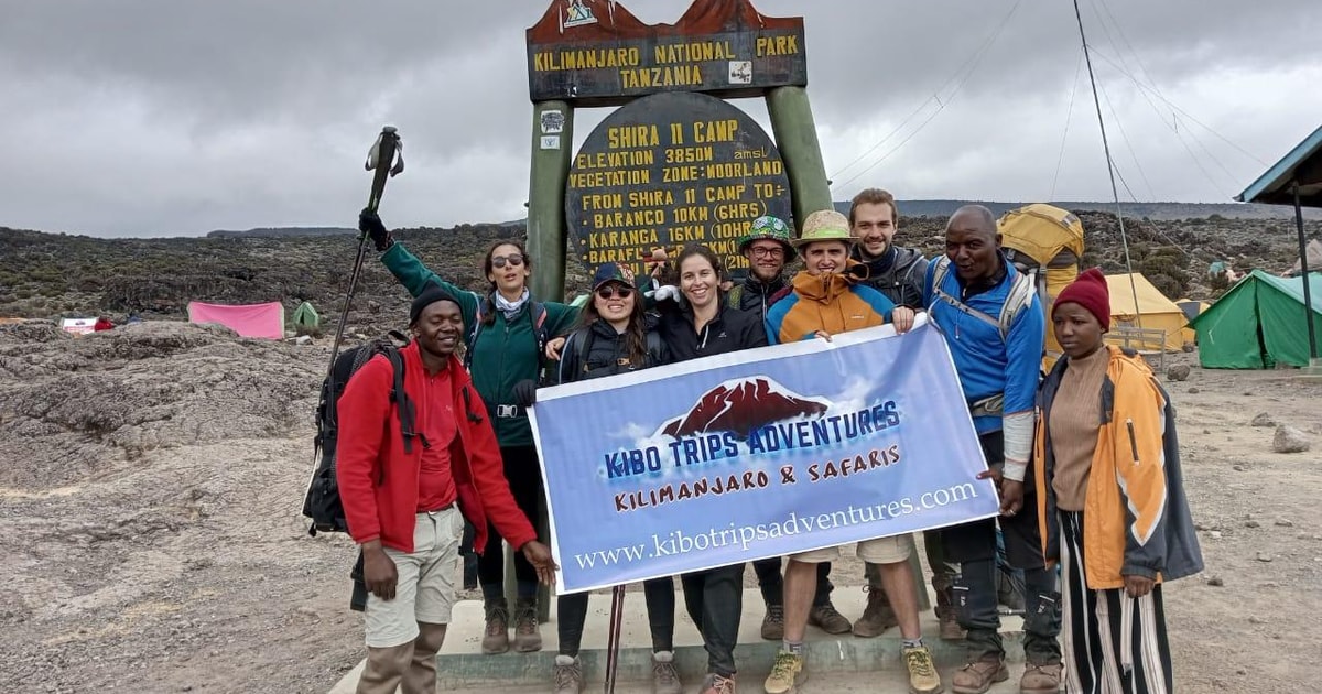 Climbing Mt Kilimanjaro , 8 Days , Lemosho Route | GetYourGuide