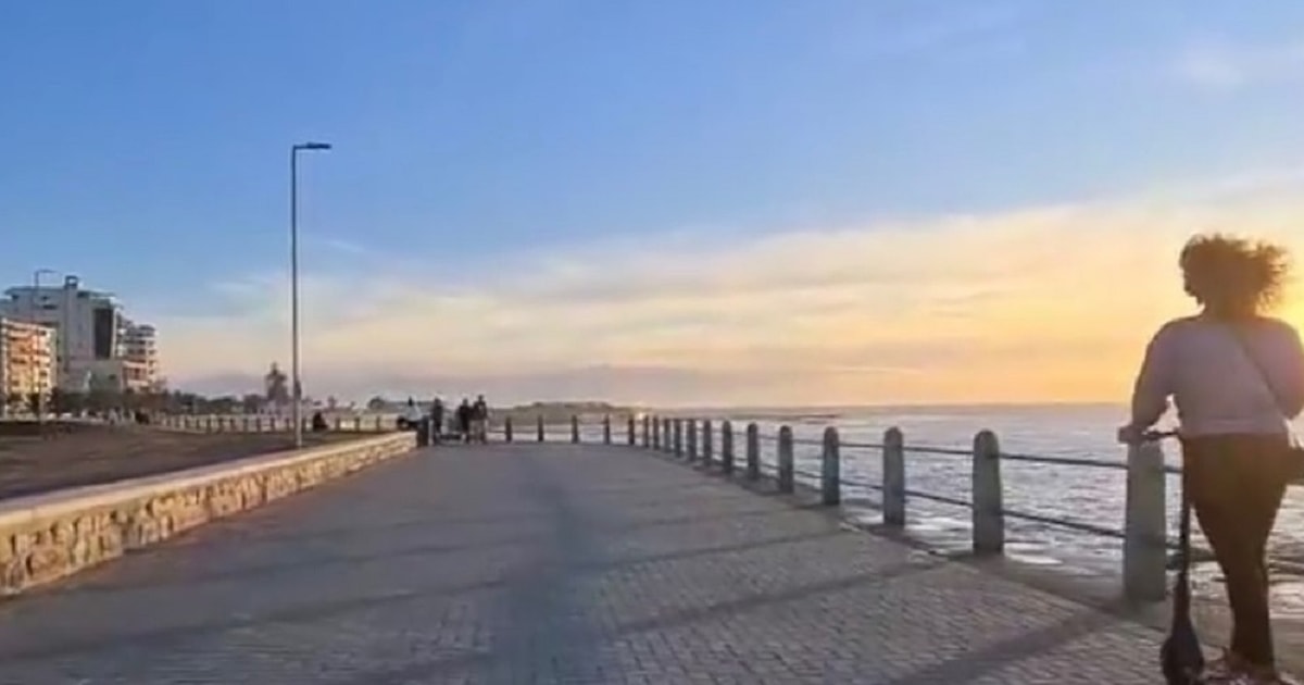 2 Hour Electric Scooter Tour from Sea Point to Waterfront | GetYourGuide