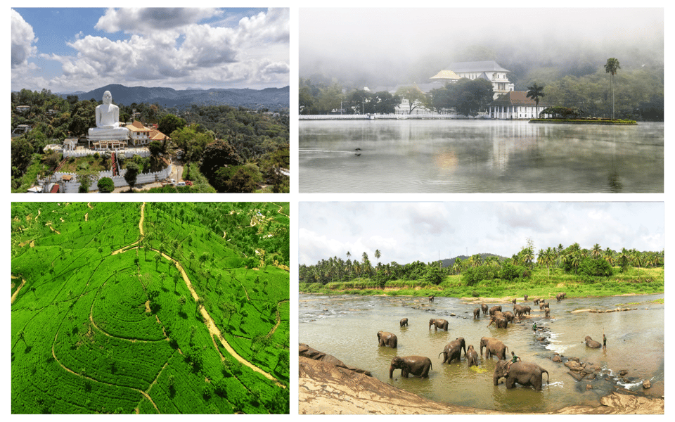 From west coast: Kandy, Pinnawala, Botanical & Tea gardens | GetYourGuide