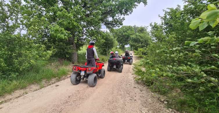Guided quad tour with aperitif in the wood | GetYourGuide