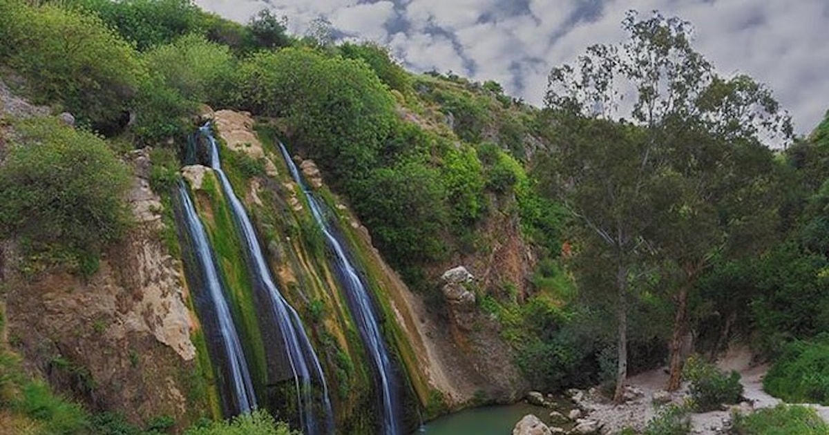 From Tel Aviv: Golan Heights ATV Action & Wine-Tasting Tour | GetYourGuide