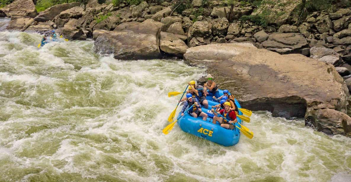 New River Gorge Whitewater Rafting - Lower New Full Day | GetYourGuide
