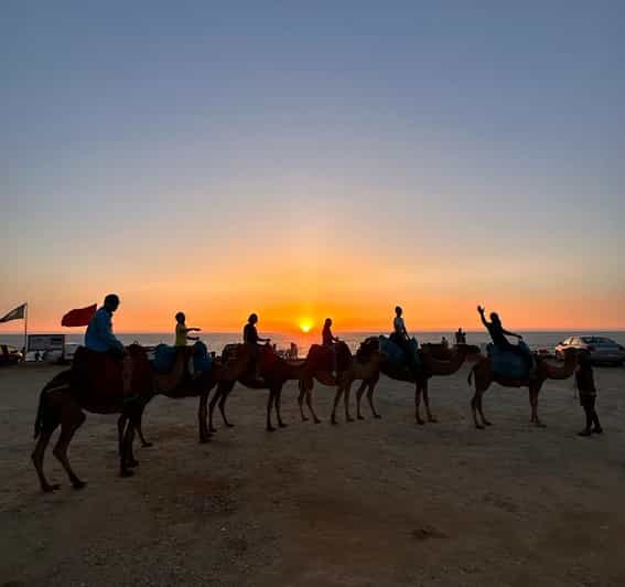 Tánger: Paseo en camello por la playa de Achakar al atardecer y cena ...