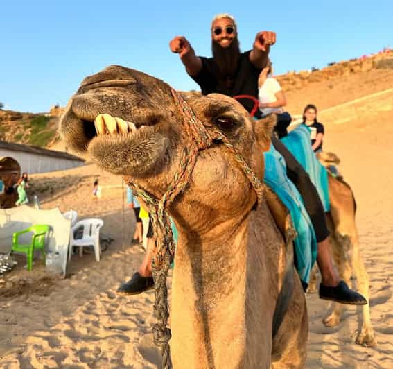 Tánger: Paseo en camello por la playa de Achakar al atardecer y cena ...