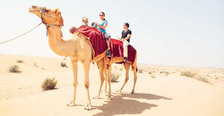 The BEST Souk El Had, Agadir Camel riding 2023 - FREE Cancellation ...