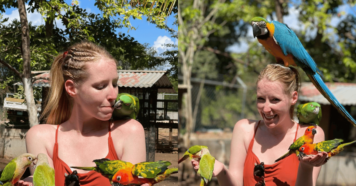 Animal & Bird Farm with Private Transport | GetYourGuide