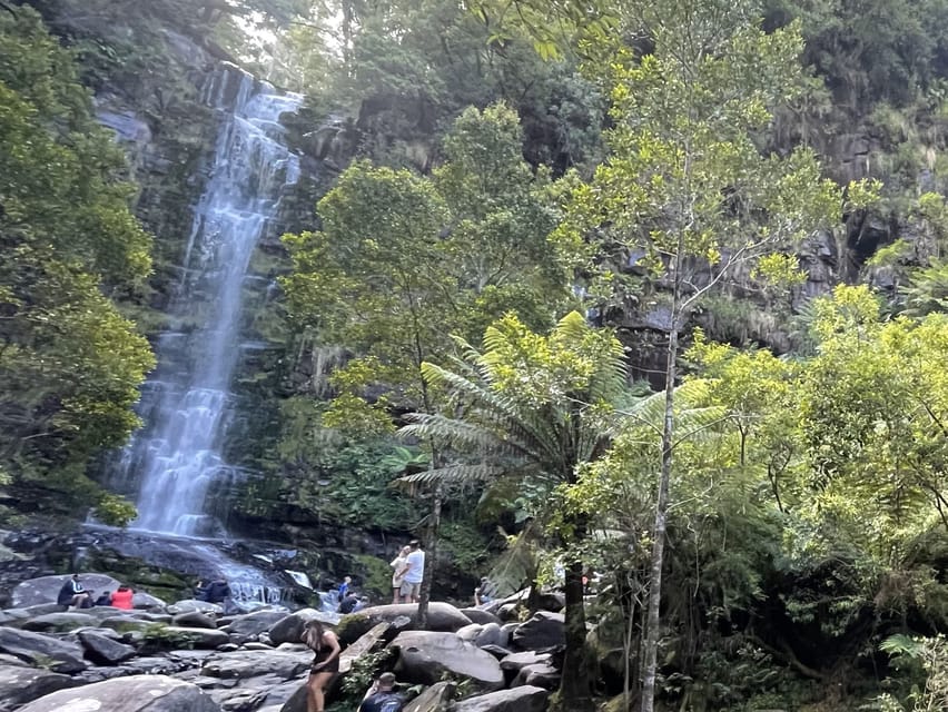 Great Ocean Road Torquay to Lorne beaches Melbourne DayTrip | GetYourGuide