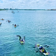 Kayaking clear through Clearwater | GetYourGuide