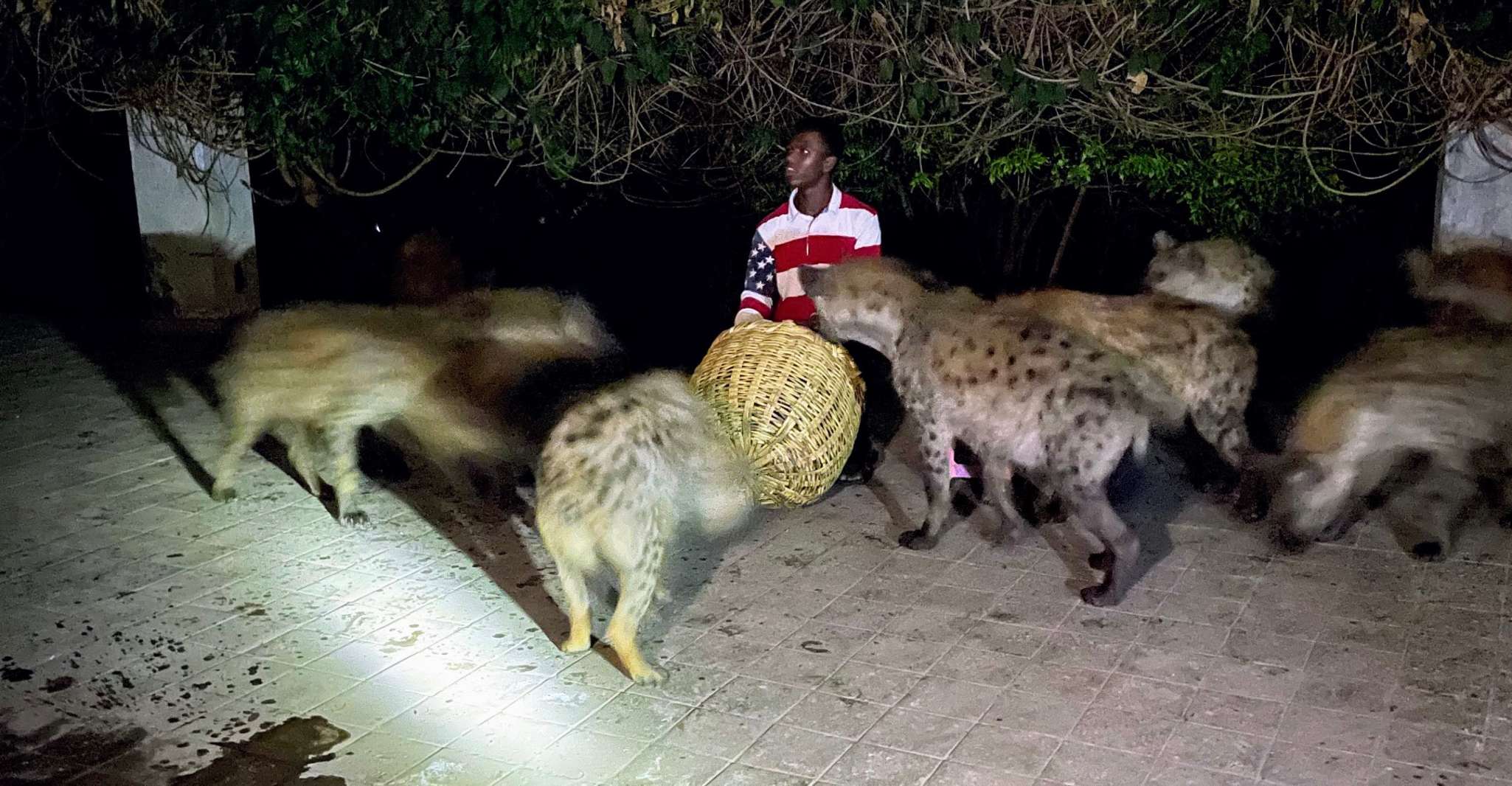 Harar, an ancient walled city, the fourth holiest in Islam | Multi-day ...