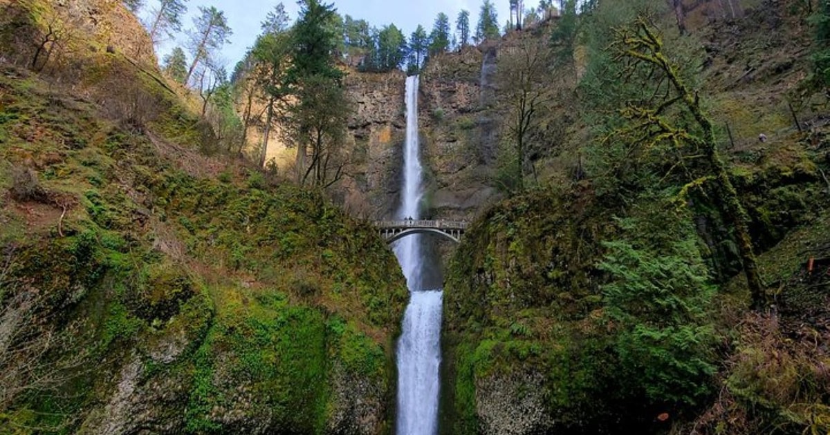 Desde Portland: Tour de medio día por las Cascadas de la Garganta del ...