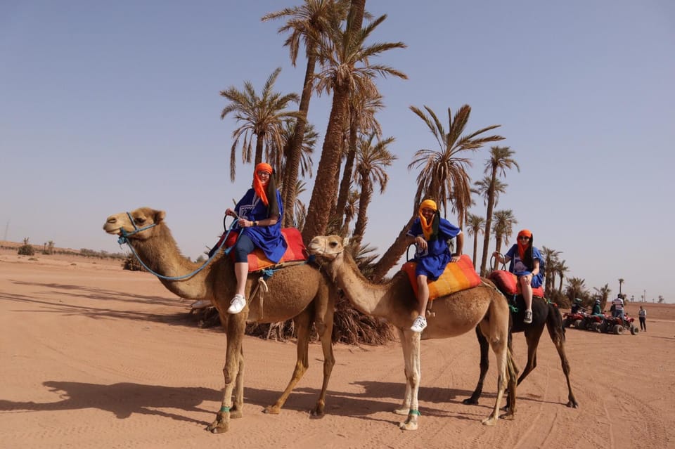 Marrakech: Camel Ride in the Palm Grove | GetYourGuide
