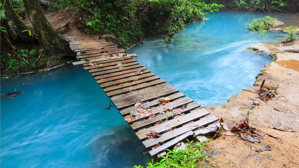rio celeste and sloth tour | GetYourGuide