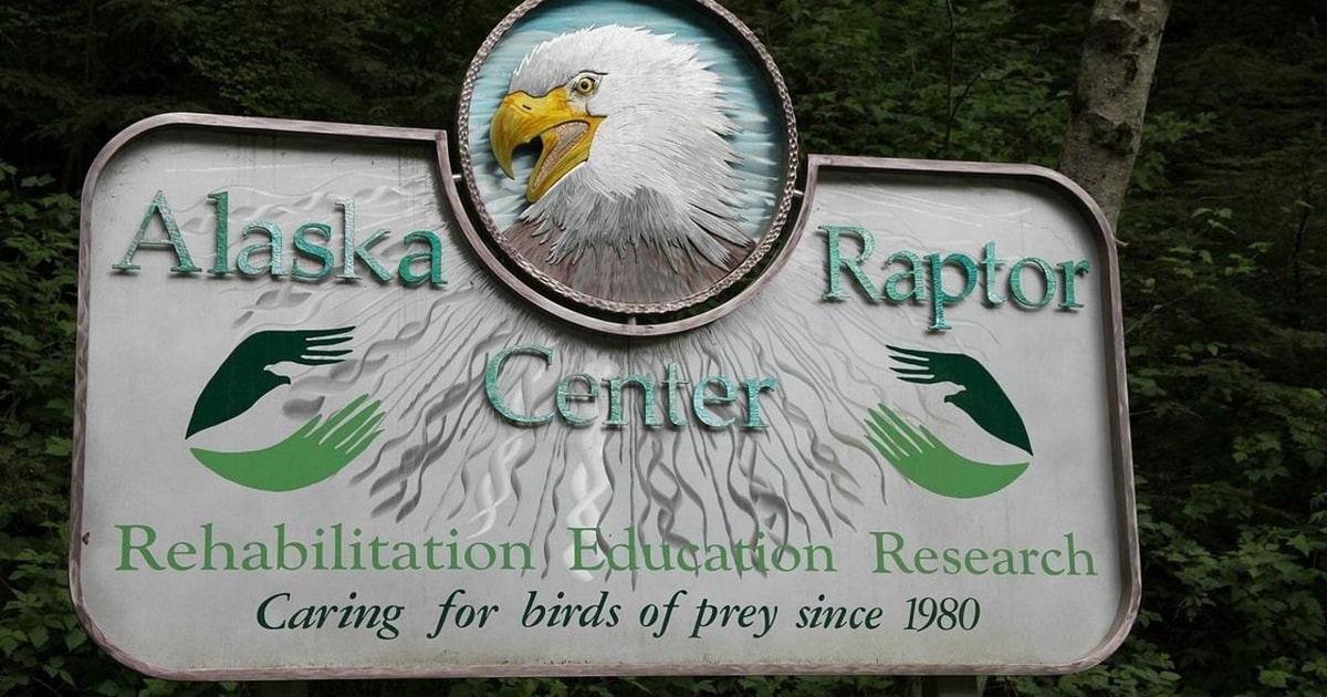 Sitka: Inngangsbillett til Alaska Raptor Center | GetYourGuide