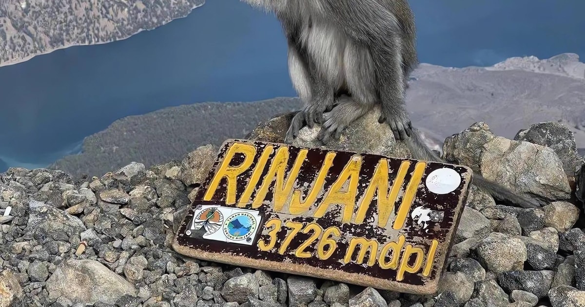 3d/2n trekking gunung rinjani bergabung dalam tur grup | GetYourGuide