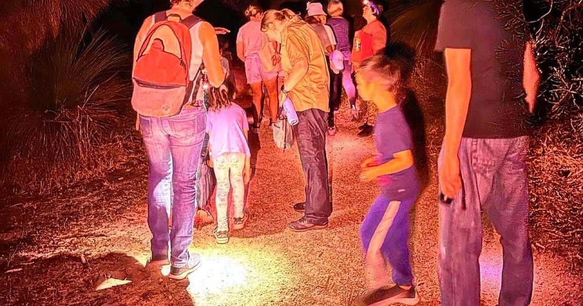 Perth: Nocturnal Night Stalk Tour with WA Wildlife Encounter | GetYourGuide