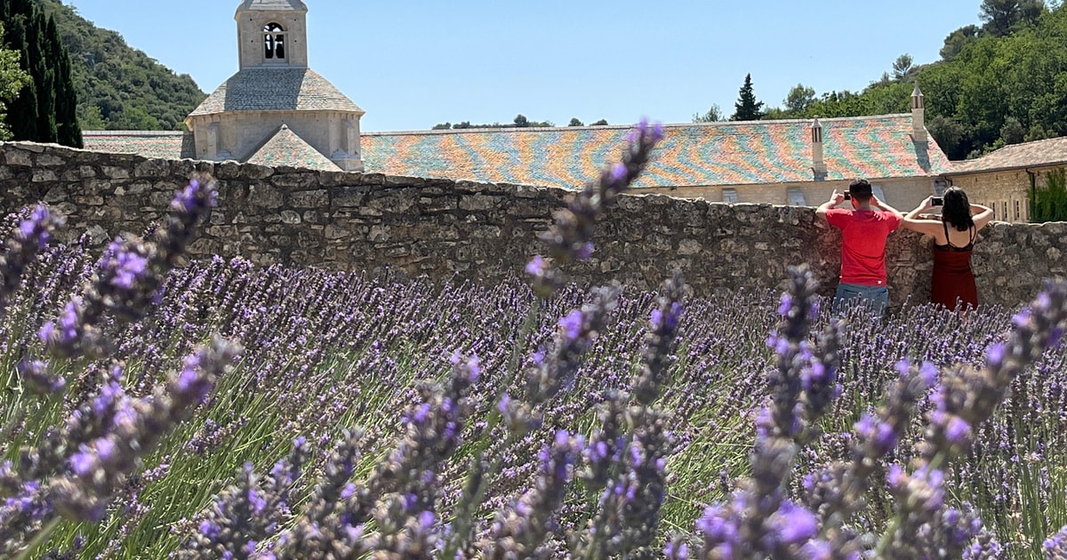 From Avignon: Lavender Tour in Valensole, Sault and Luberon | GetYourGuide
