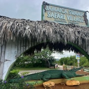 Martha Brae River Bamboo Rafting and Swamp Safari Day Tour | GetYourGuide