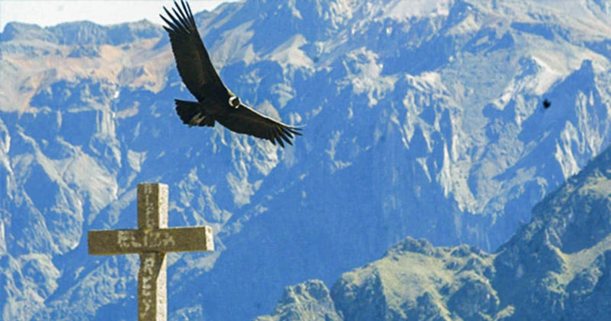 Escursione nel Canyon del Colca da Arequipa + Trasferimento a Puno ...
