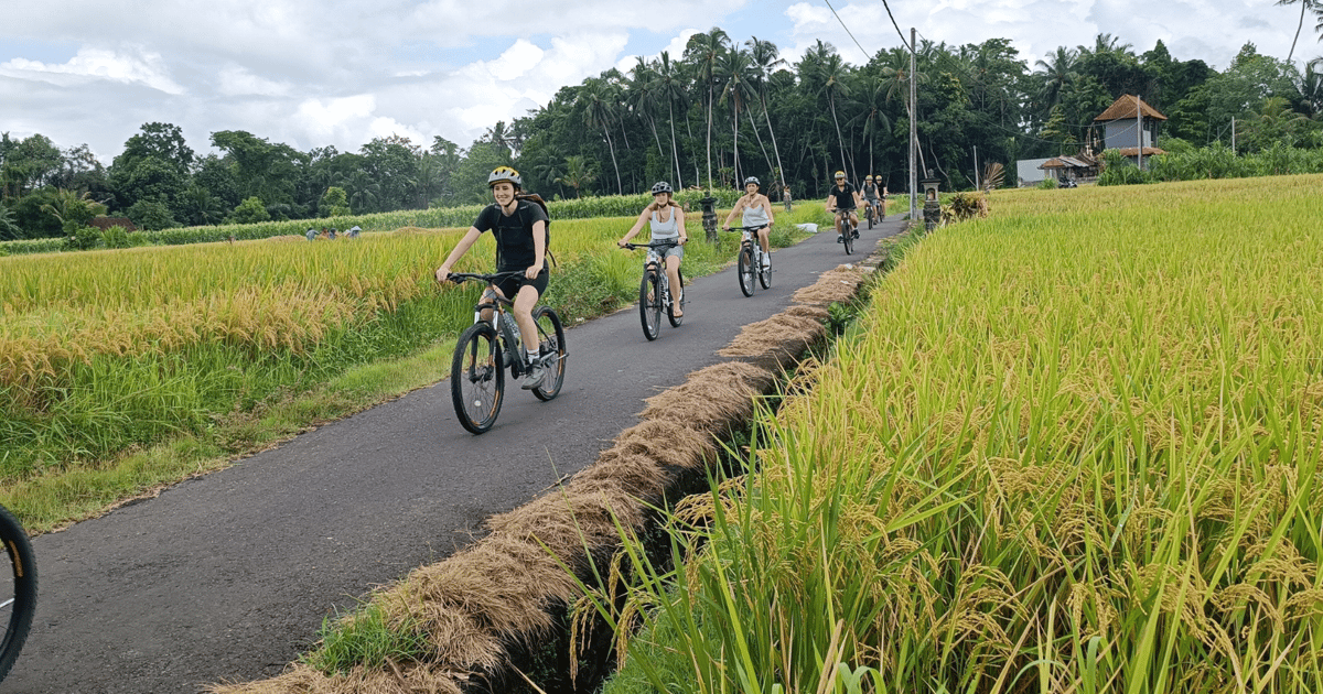 Bali: Scenic Village Cycling Tour with Cultural Insights | GetYourGuide