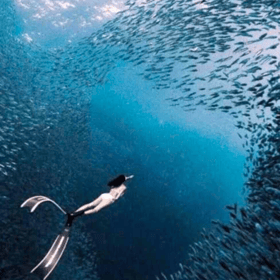 Cebu: Oslob Whale Shark, Sumilon, Ruins, Simala Church | GetYourGuide