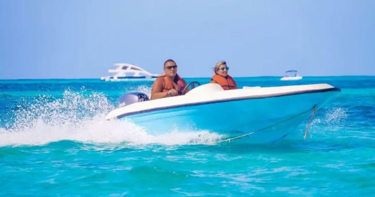 Punta Cana: Speedboat Ride, Snorkeling, & Dolphin Watching | GetYourGuide