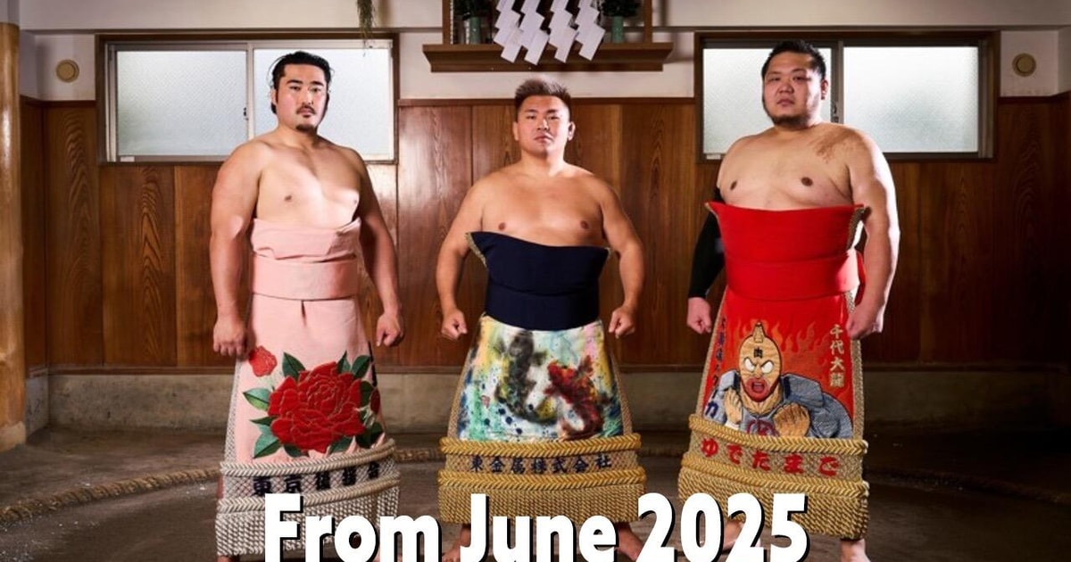 Tokyo Sumo Experience: Chanko Nabe & Mochi Making from June | GetYourGuide