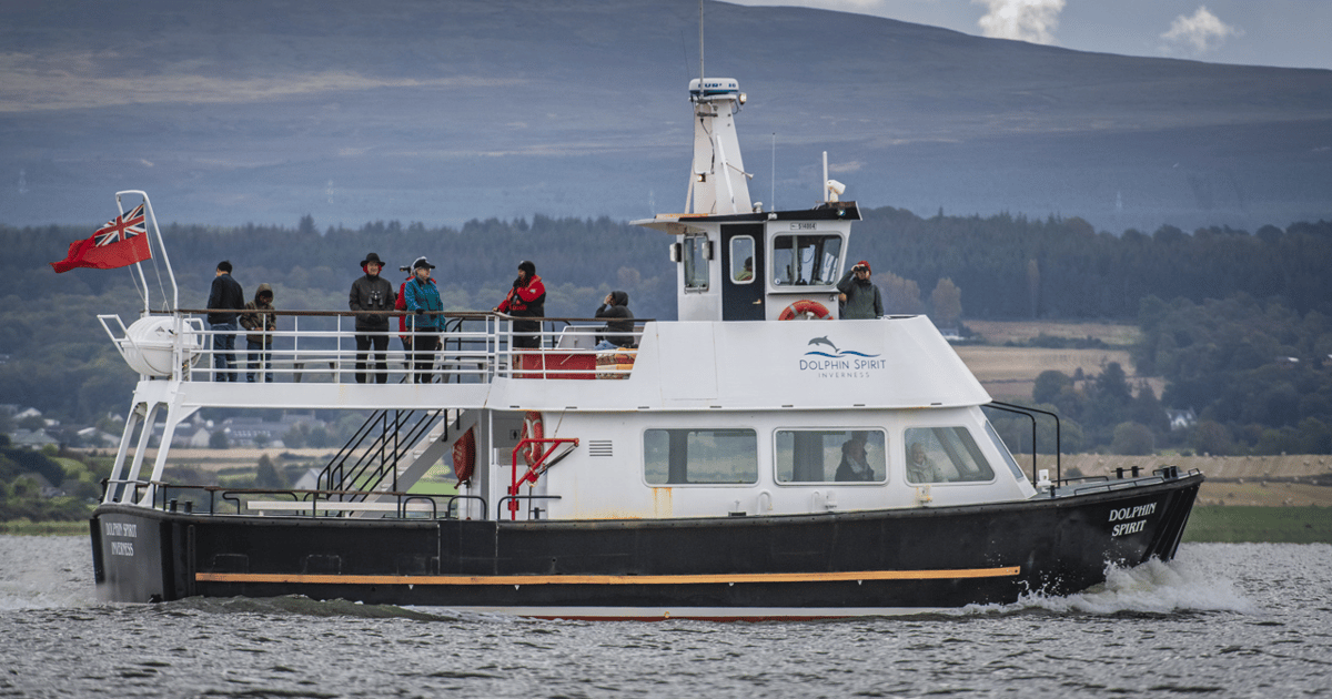 Dolphin Spirit Coastal Cruise from Inverness | GetYourGuide