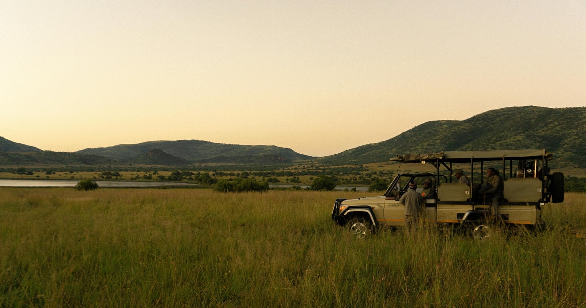 Pilanesberg: Full-Day Safari Adventure from Johannesburg | GetYourGuide