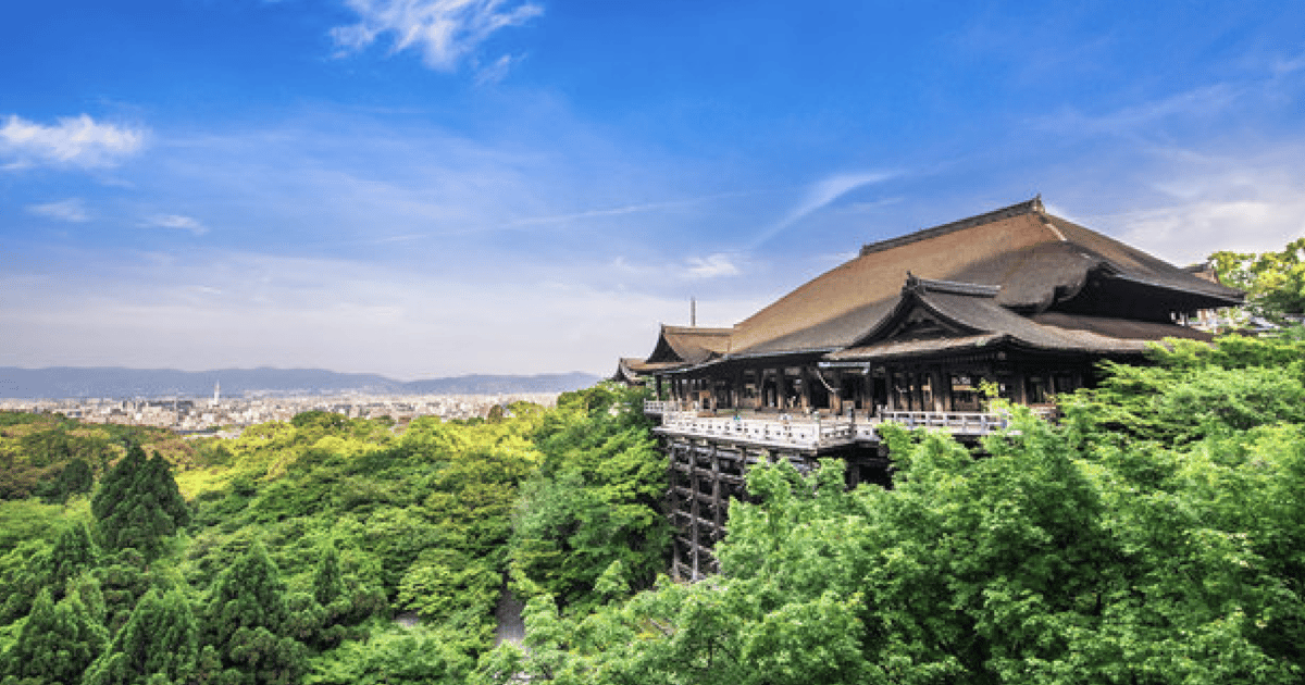 Kyoto Fully Customized 1 day Private Tour | GetYourGuide