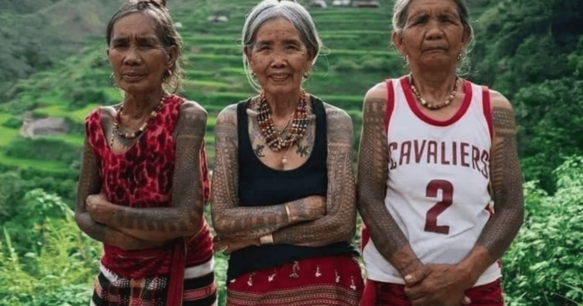 Desde Manila: Excursión de 2 días a Buscalan con Apo Whang-od ...