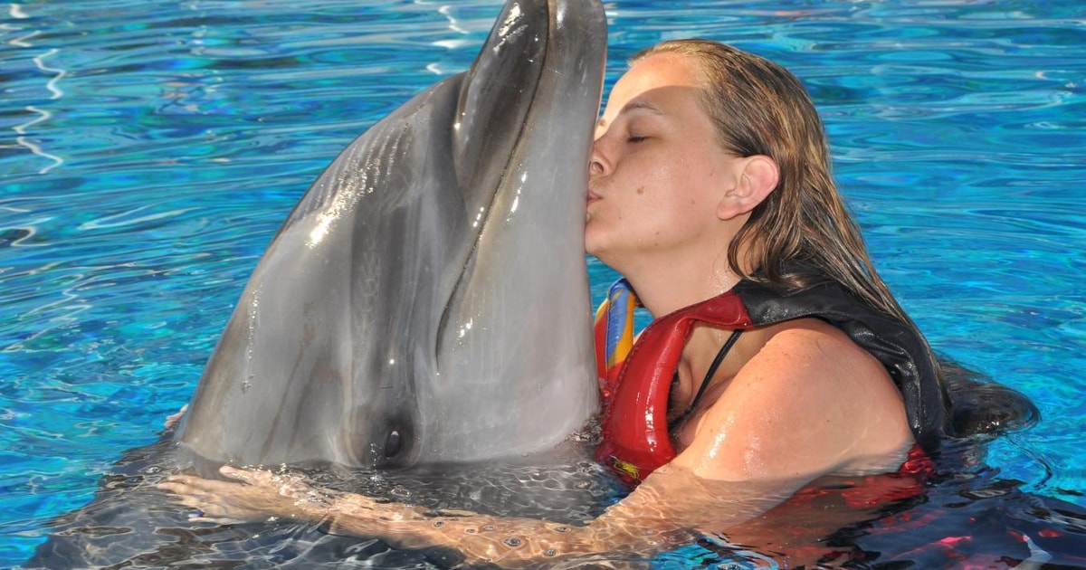 Alanya: Dolphin and Sea Lions Show with Hotel Pickup | GetYourGuide