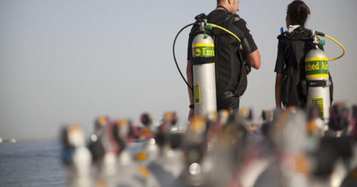 Playa: Night Dive | GetYourGuide