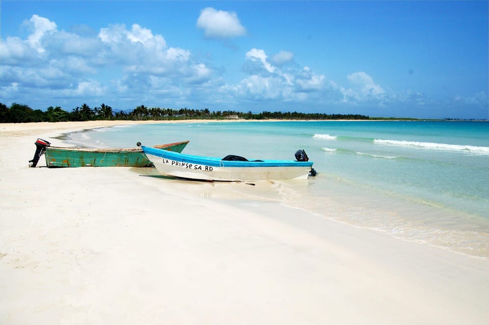 Saona island pearl of the sea from santo domingo day trip | GetYourGuide