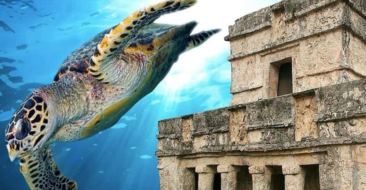 Cancun: Tulum Ruins & Snorkeling with Sea Turtles Tour | GetYourGuide