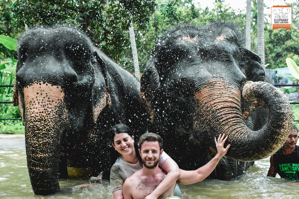 Koh Samui: Elephant Jungle Sanctuary Half-Day Tour | GetYourGuide