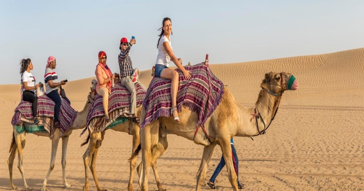 Dubai: Arabian Desert Safaris, Dinner, Camel Riding & Shows | GetYourGuide