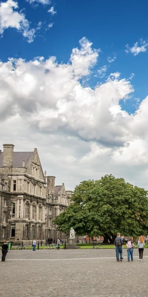 Dublin: Book of Kells, Dublin Castle and Christ Church Tour | GetYourGuide