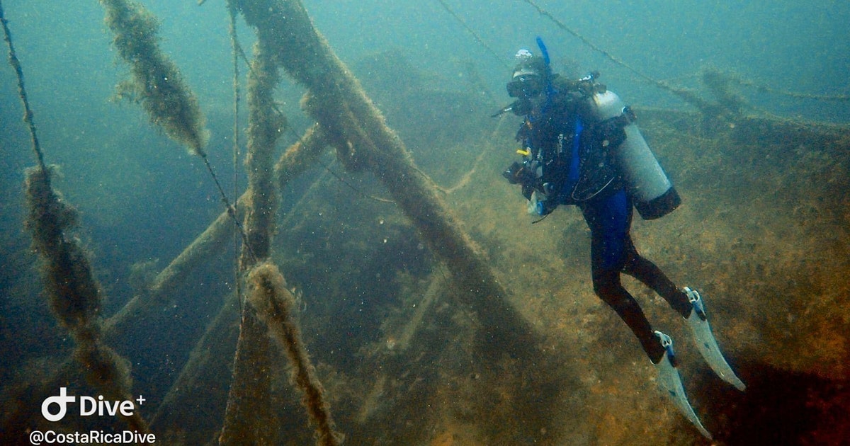 Golfito, Costa Rica: Advanced Open Water Certification | GetYourGuide