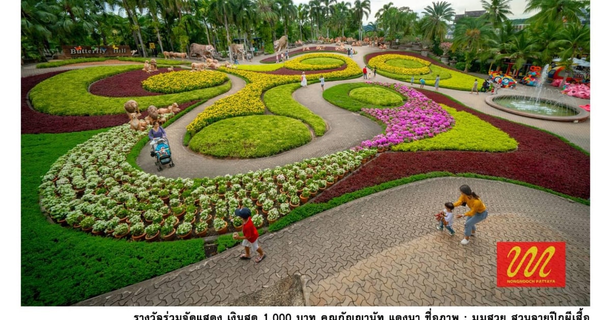 Pattaya Cultural Extravagangza Full Day Tour | GetYourGuide