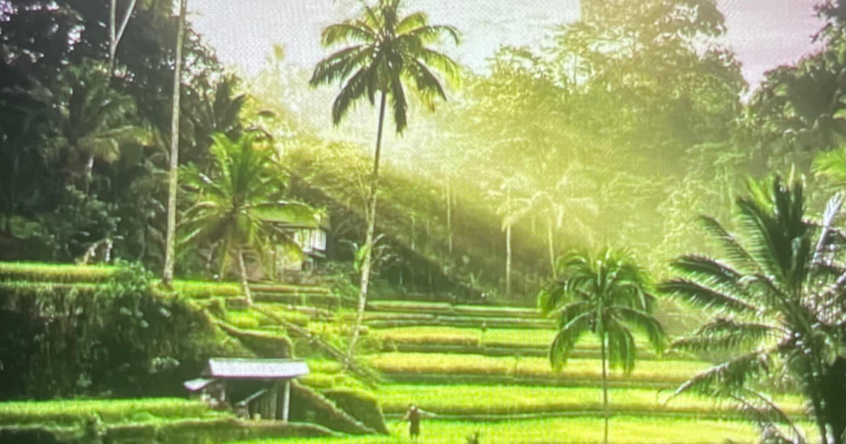 Best of Ubud Rice terrace, Waterfall, Temple and Art Village | GetYourGuide