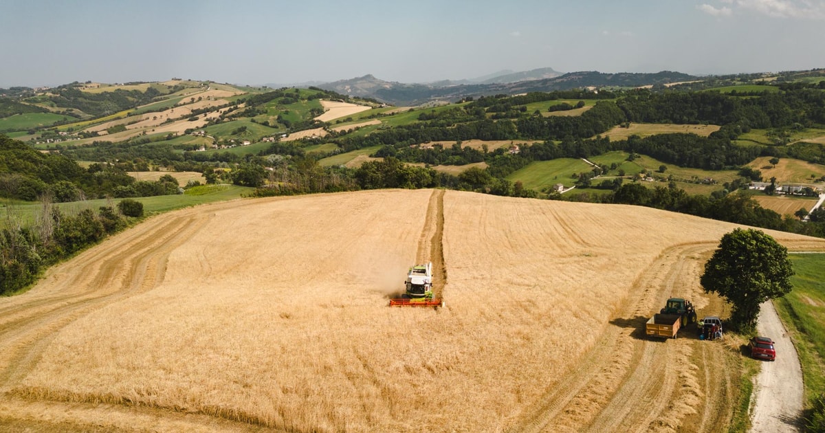 Mastio brewery tour with beer tasting | GetYourGuide